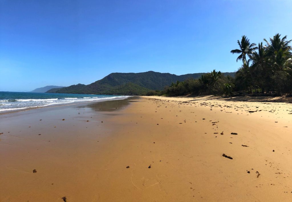 Thala Beach Nature Reserve, Port Douglas – Premium Escapes